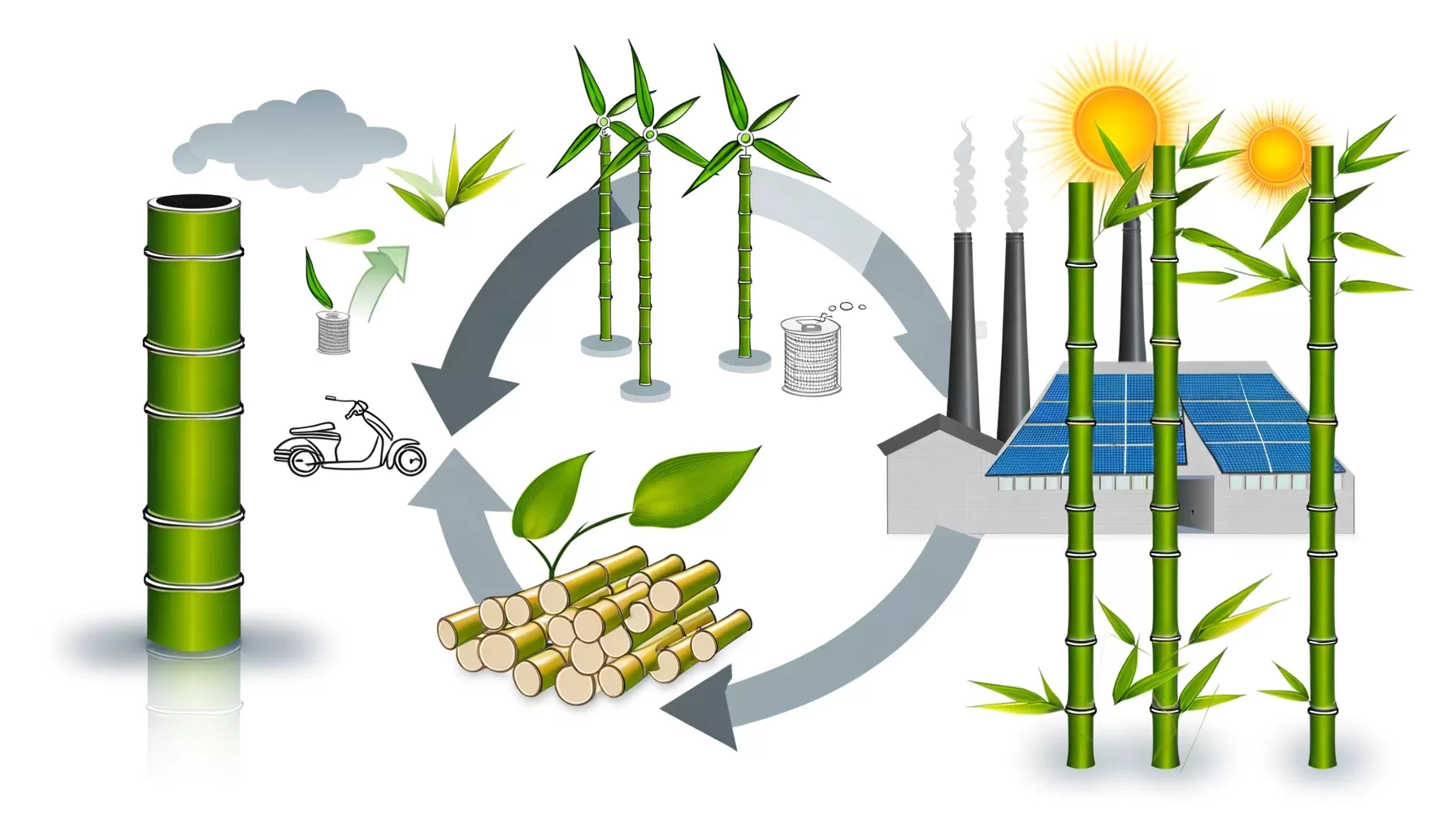 Technological Innovations with Bamboo